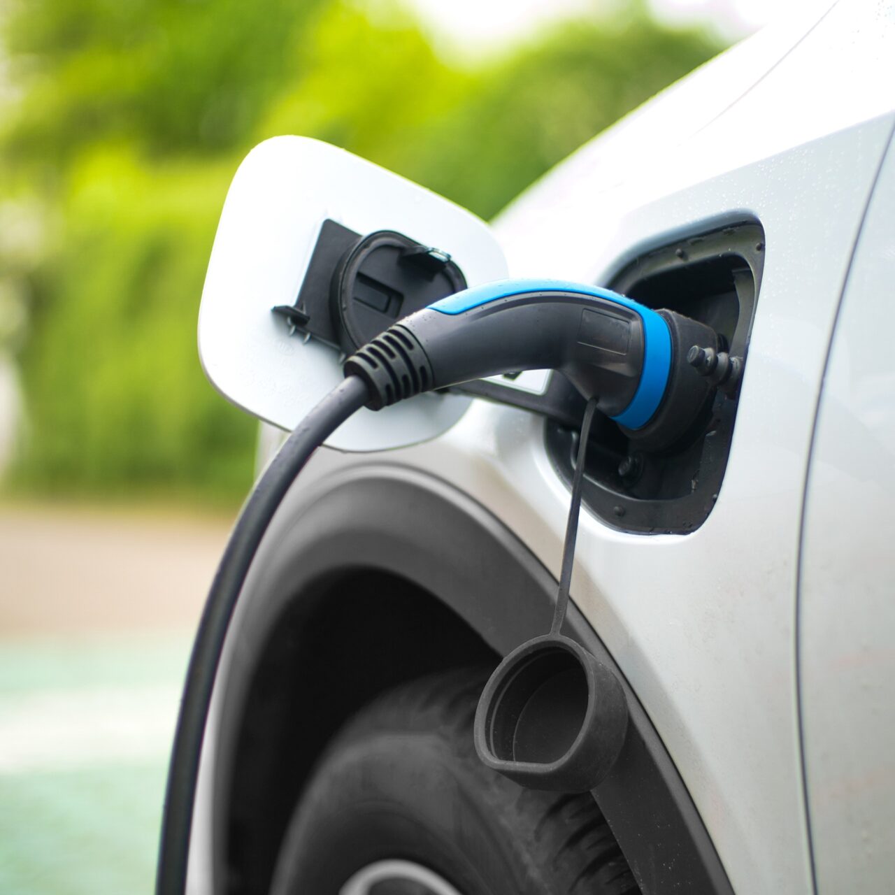 Capabilities | Wayne Electric Company, Inc.